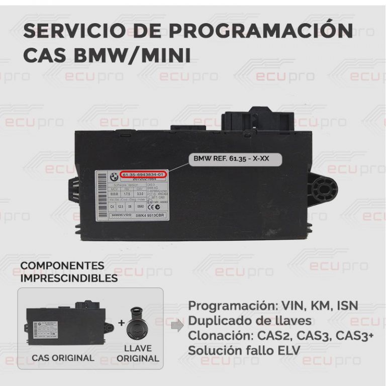 CAS MINI 6135 9147191 01 VDO 5WK4 9513NBR | Ecupro